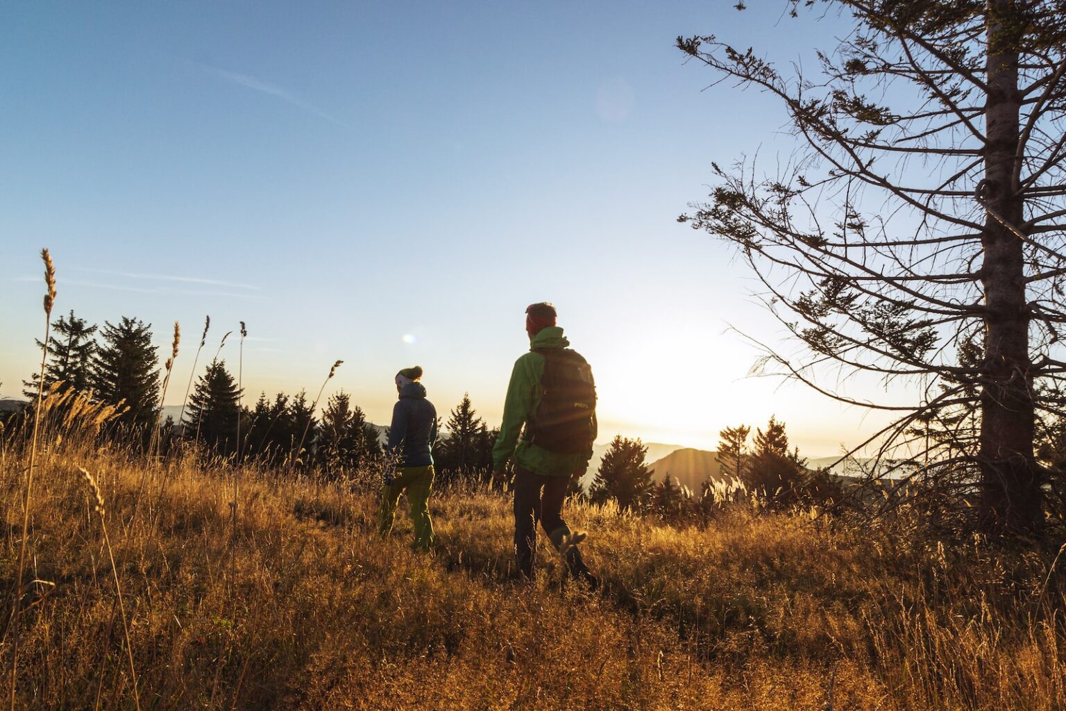 50 Crucial Pros and Cons of Hunting | Luxwisp