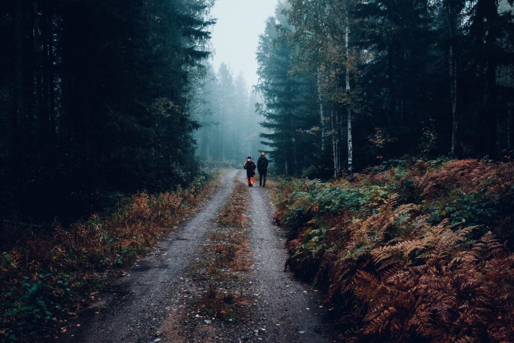 50 Crucial Pros and Cons of Hunting | Luxwisp